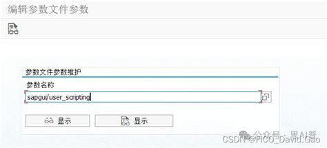 Sap 技巧篇：script脚本模拟人工操作批量录入数据sap Script Csdn博客