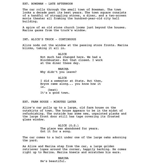 Professional Screenwriter And Script Consultant