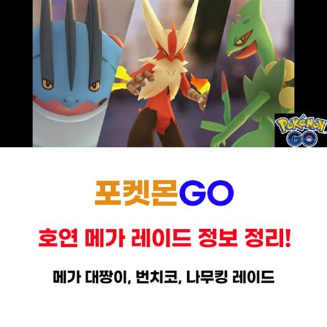 포켓몬고 이로치 메가 대짱이 번치코 나무킹 모습 비교 호연 메가 레이드 스타팅 메가 진화
