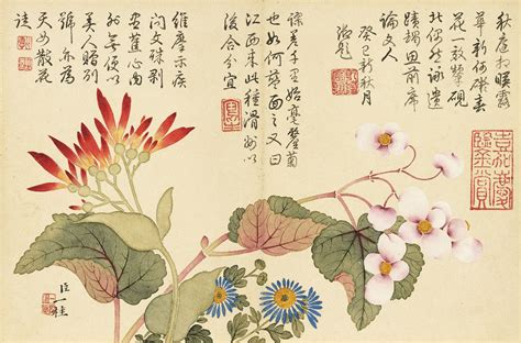 皇帝的移動花園－清代宮廷花卉畫花譜考據
