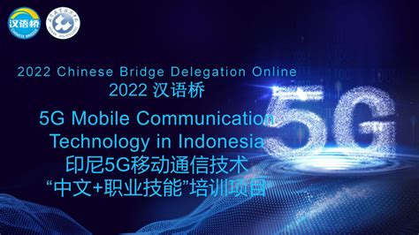 武汉职业技术学院 汉语桥团组在线体验平台