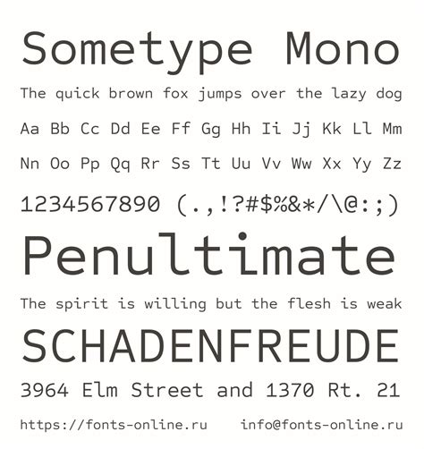 Sometype Mono Font