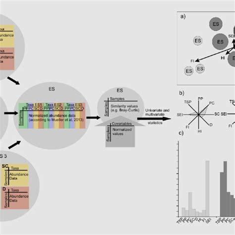Guideline For The Multivariate Integration Of Data From Different