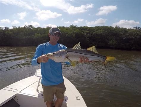 How To Catch Redfish, Snook, & Gator Trout Without Wasting Time With Live Bait [FREE PDF ...