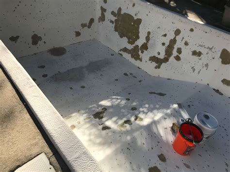 Fiberglass Pool Restoration Charleston Sc Pool Resurfacing Pro