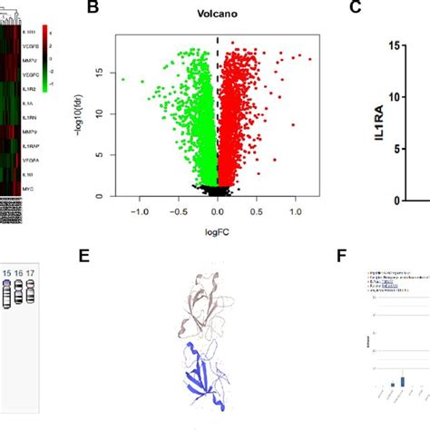 IL 1RA Expression In ESCC A Hierarchical Clustering Heatmap Showing