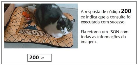 Github Ana Furlanesthecatapi Doc The Cat Api é Uma Api Pública De Gerenciamento De