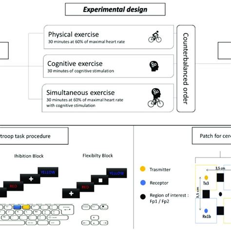 Illustration Of Experimental Design Stroop Task And Patch Used For Download Scientific Diagram