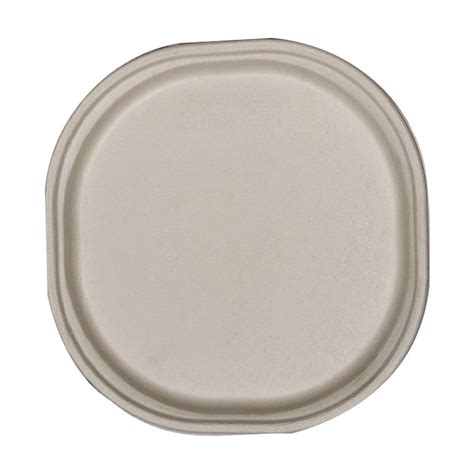 Round Biodegradable Paper Plate at Rs piece बयडगरडबल पपर पलट in Patna ID