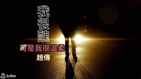 D Be 我很醜可是我很溫柔 趙傳 伴奏 05 Youtube