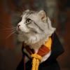 React Bmapgl Npm