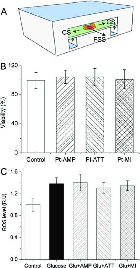 A The Illustration Of The Microfluidic Model Used In This Study The