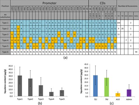 Nucleotide Polymorphism Of Os09g0319800 Promoter And Coding Regions