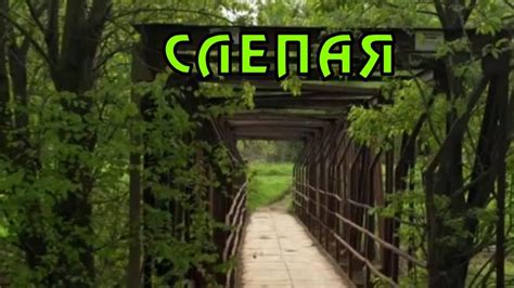 СЛЕПАЯ ПРИМЕТЫ ИЗ СЕРИАЛА Часть 10 Приметы от Бабы Нины в каждой серии Youtube