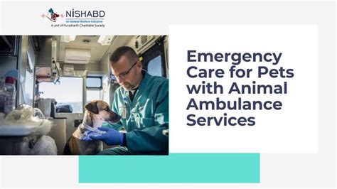 Emergency Care For Pets With Animal Ambulance Services