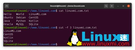 成为高级用户，linux Cut 命令的9个实例 Linux迷
