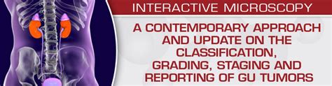 Download A Contemporary Approach And Update On The Classification