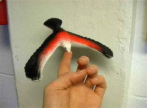 Balancing Birds Department Of Physics Csu