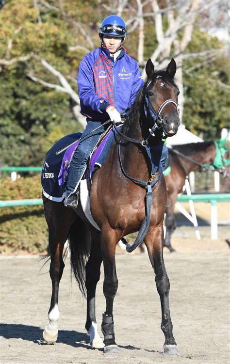 【ajcc】フィエールマン負けられぬ 手塚師「いい感じ」調整抜かりなし 競馬ニュース Netkeiba