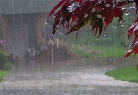 Chhattisgarh Monsoon Update छत्तीसगढ़ में मानसून इस दिन आएगा मौसम