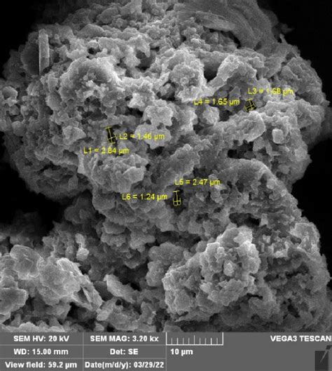 Micrograph Of A Sample Obtained From Sem Analysis Download Scientific