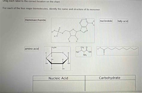 Solved Drag Each Label To The Correct Location On The Chart For Each