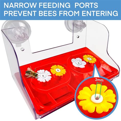 Wllkoo Window Bird Feeder Bird House For Outside With 4 Rod Acrylic