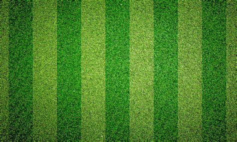 녹색 잔디 텍스처 배경 녹색 잔디 배경에 대 한 뒤뜰 잔디 질감 녹색 잔디 바탕 화면 사진 공원 잔디 질감 3d 소프트웨어 렌더링 컴퓨터 그래픽에 대한 스톡 사진 및 기타