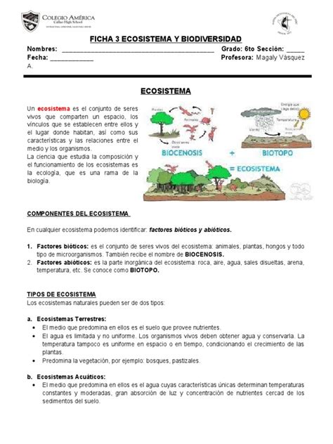 Ficha De Trabajo 3 Ecosistemas Pdf Ecosistema Deforestación