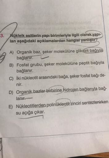 3 Nükleik Asitlerin Yapı Birimleriyle Ilgili Olara Biyoloji