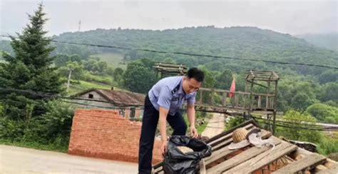 翻修房屋惊现巨型马蜂窝，民警一个多小时端掉腾讯新闻