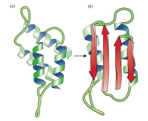 Science Break Prions Jan 2015 Cseg Recorder