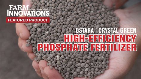 Video Breaking Down Crystal Green A High Efficiency Phosphate