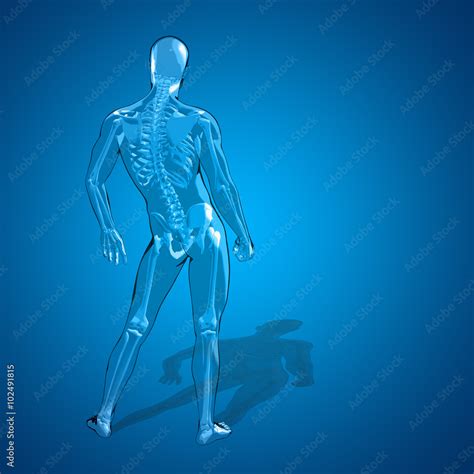 Concept Or Conceptual 3d Human Man Skeleton Anatomy Stock Illustration