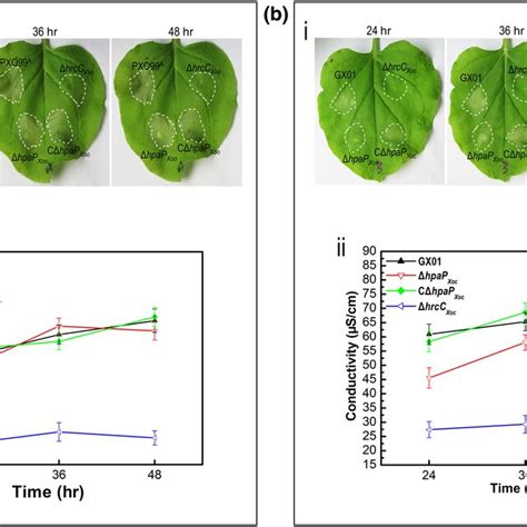 Mutation In Hpap Reduces Extracellular Polysaccharide Eps Production