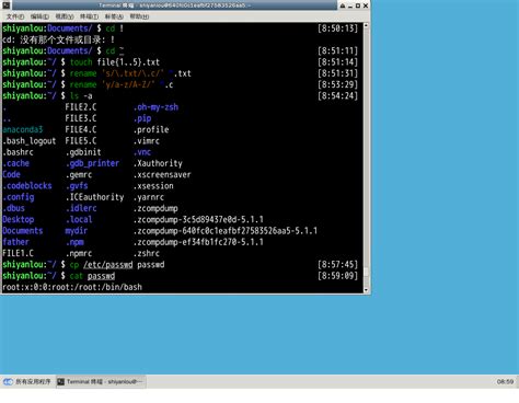 Linux 目录结构及文件基本操作 蓝桥云课