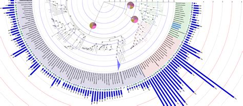 Itol Interactive Tree Of Life