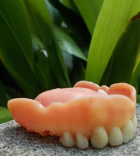 Human Teeth Wax Mold Partial Denture Upper Jaw Vintage Oddities Curiosities Cabinet