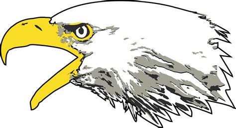 Free Bald Eagle Vector Art Download 632 Bald Eagle Icons And Graphics Pixabay