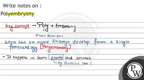 Write Notes On Polyembryony Youtube