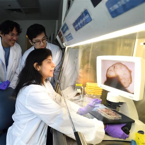 Biomedical Engineering Johns Hopkins Admission