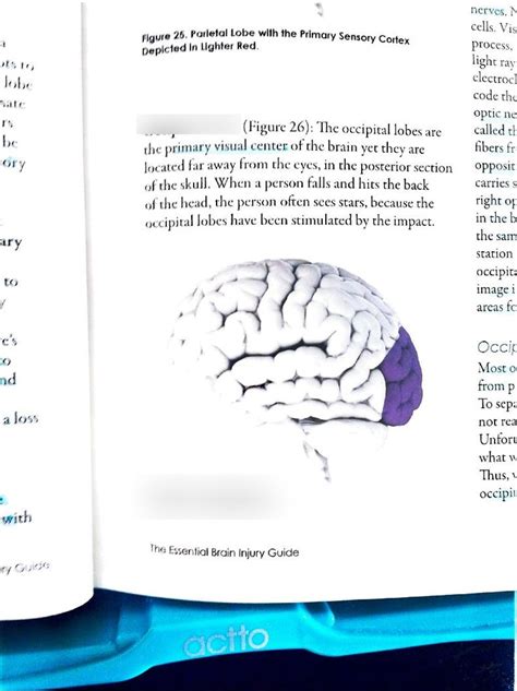 Chapter 2 Diagrams Diagram Quizlet