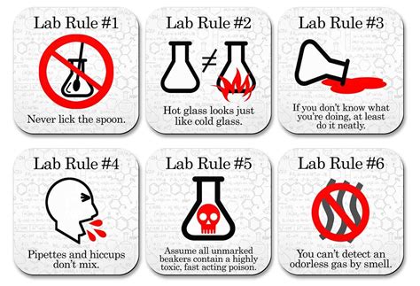 Lab Rules Science Coaster Set 6 Piece Set Science Humor Neurons Lab Safety