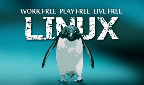 10 Reasons Why Should We Use Linux
