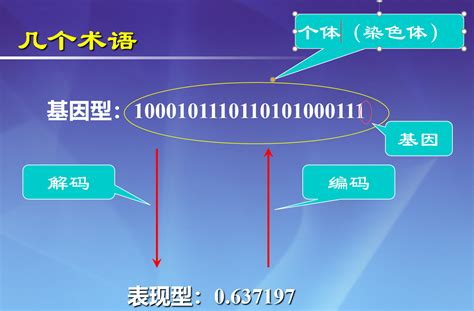 遗传算法原理与应用 知乎