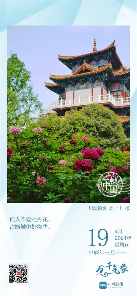 一帧中国丨竞夸天下无双艳，独占人间第一春（2024年4月19日）四川在线