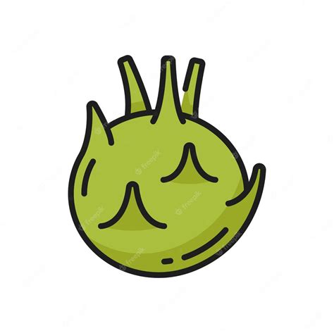 Premium Vector Cabbage Turnip Isolated Kohlrabi Vegetable Icon