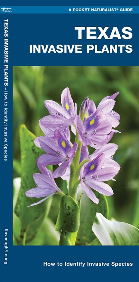 Texas Invasive Plants Pocket Guide