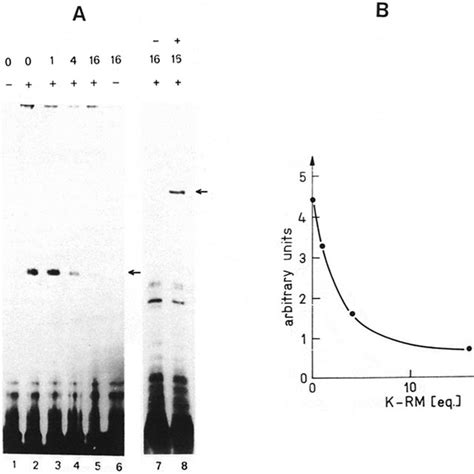 The SRP Receptor Displaces The Signal Sequence From SRP A Download Scientific Diagram