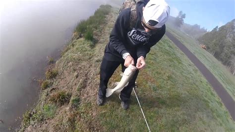 Golf Course Bass Fishing Youtube